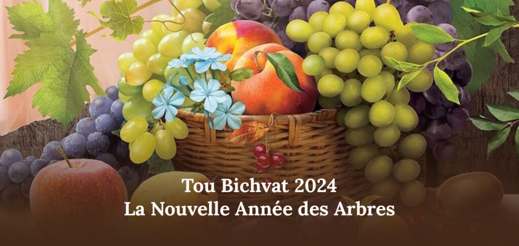 Tou Bichvat 2024 : Date et Signification de la Fête Juive